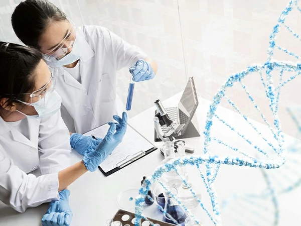 Professional Whole GenomeDNA Sequencing Supplier | GeneMind